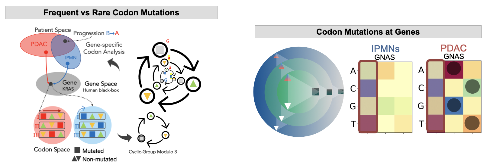 Non-canonical DNA, Mutagenesis, and Drug Resistance
